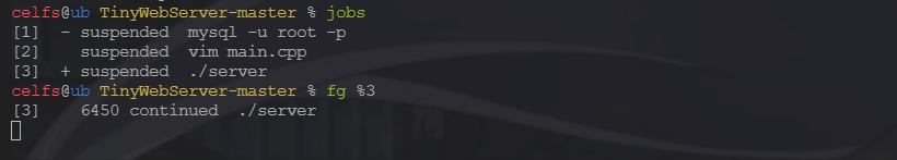 TinyWebServer | 编程内外